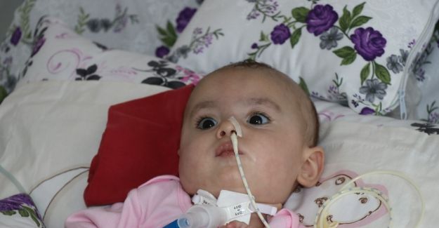SMA hastası 8 aylık Hafsa Nur yardım eli bekliyor - Hukuki Haber