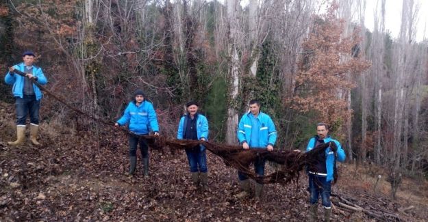 Su borusundan 8 metrelik ağaç kökü çıktı - Hukuki Haber